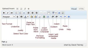 How to Add, Edit & Format Text in a WordPress Post or Page